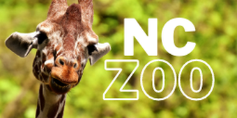 NC Department of Natural & Cultural Resources | #GoOpenNC